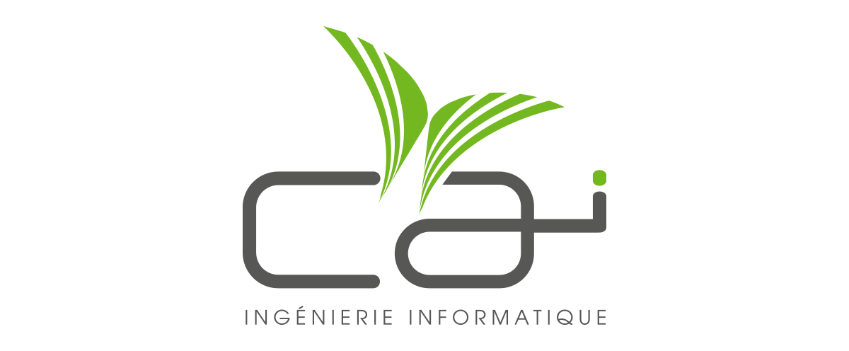 Infrastructure informatique et réseaux à Brive, en Corrèze